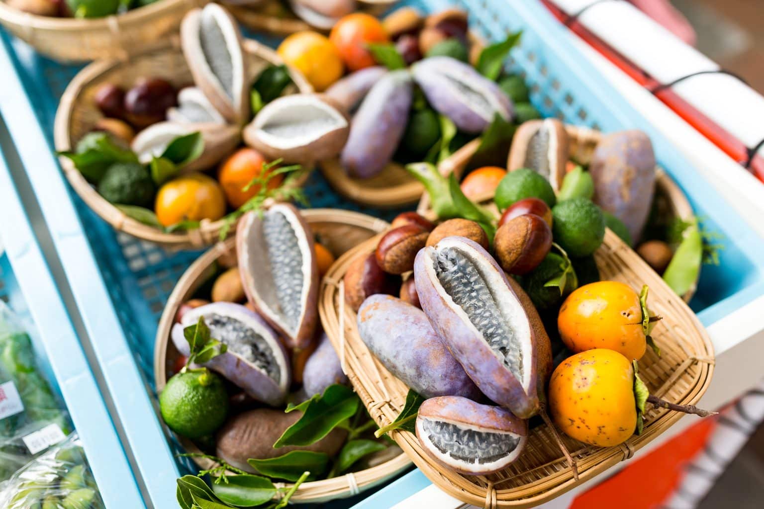 Liste complète des fruits qui commence par la lettre V